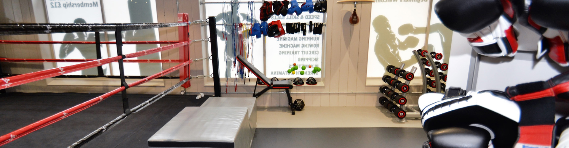 Squad & Sparring - Phoenix Boxing Club Sussex